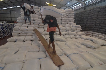 Hip Laborers Carrying Bags Rice Into Editorial Stock Photo - Stock ...