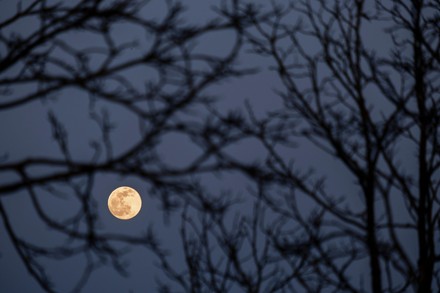 Full Moon Pink Moon April Seen Editorial Stock Photo - Stock Image ...