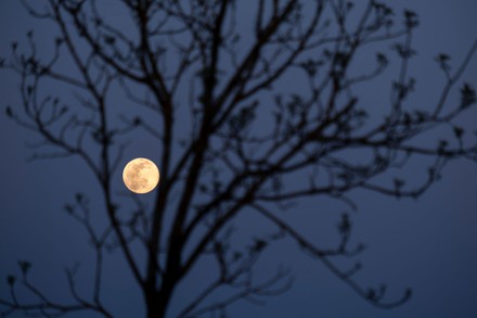 Full Moon Pink Moon April Seen Editorial Stock Photo - Stock Image ...