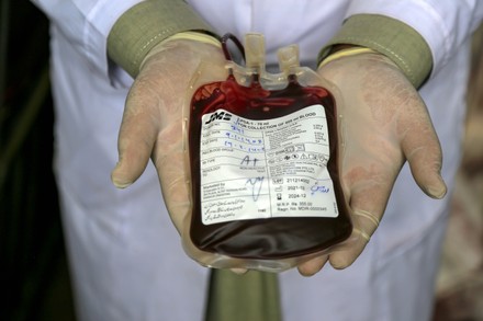 Staff Central Blood Bank Shows Blood Editorial Stock Photo - Stock ...