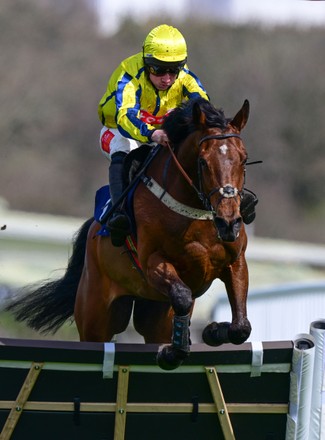 Race Winner Inneston Ridden By Jamie Editorial Stock Photo - Stock ...