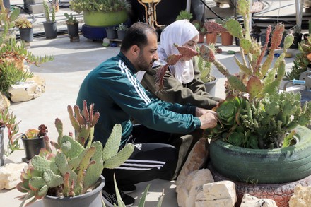 __COUNT__ Palestinian man Salama Badwan, 40, and his wife, Alaa Badwan ...