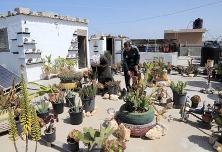Palestinian Man Salama Badwan 40 His Editorial Stock Photo - Stock ...