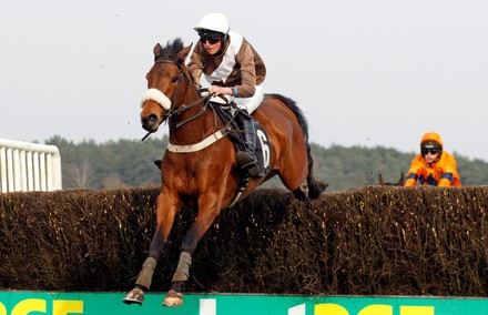 Betty Baloo William Easterby Wins Premier Editorial Stock Photo - Stock ...