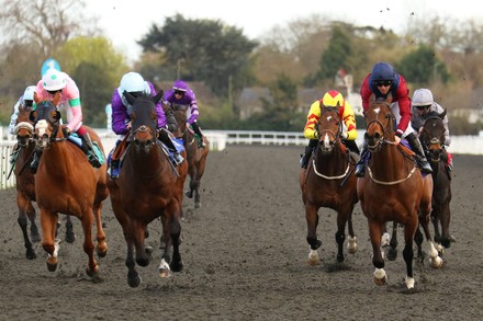 Prop Forward Purple Left Ridden By Editorial Stock Photo - Stock Image ...