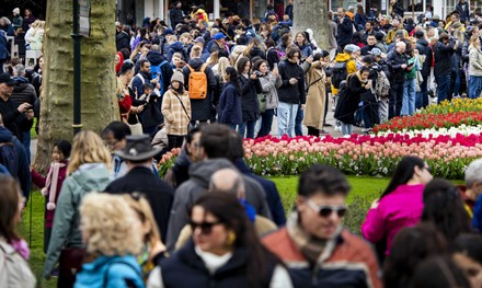 3,000 Crowd of tourists Stock Pictures, Editorial Images and Stock ...