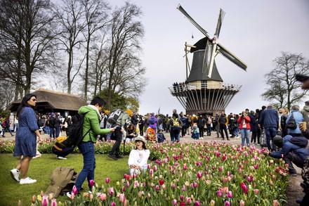 3,000 Crowd of tourists Stock Pictures, Editorial Images and Stock ...