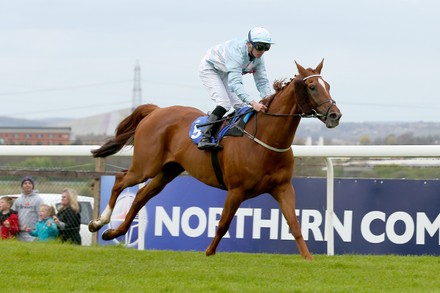 Champagne City 5 Ridden By Theodore Editorial Stock Photo - Stock Image ...