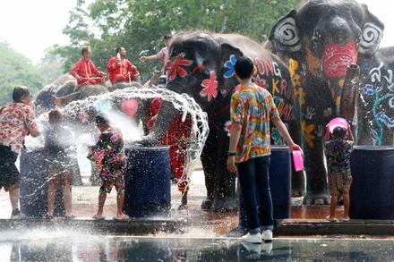 Elephants Splash People Water Celebration Songkran Editorial Stock Photo - Stock Image ...