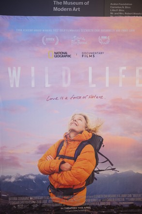__COUNT__ 'Wild Life' film premiere, Arrivals, National Geographic ...