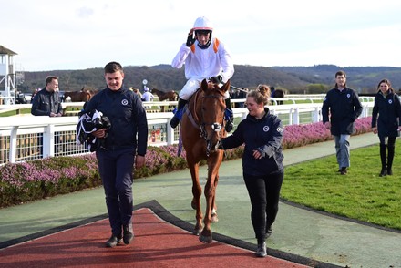 Race Winner Geezer Rockstar Ridden By Editorial Stock Photo - Stock ...