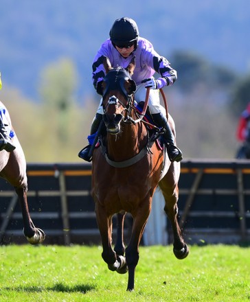 Take Your Time Ridden By Bryony Editorial Stock Photo - Stock Image ...