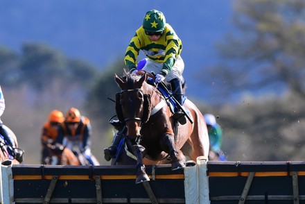 Gorcombe Moonshine Ridden By Angus Cheleda Editorial Stock Photo ...