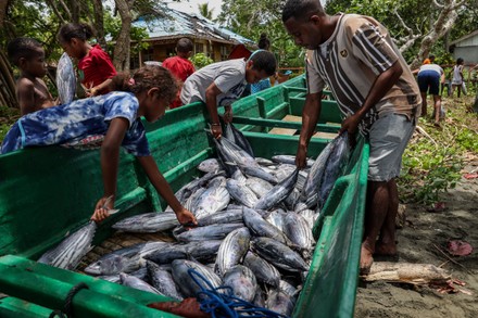 People Carry Fish Traditional Boats Village Editorial Stock Photo ...
