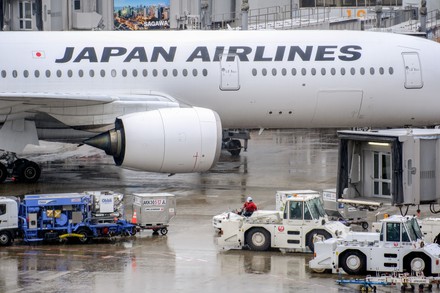 Japan Airlines Jal Airplane Seen Tokyo Editorial Stock Photo - Stock ...