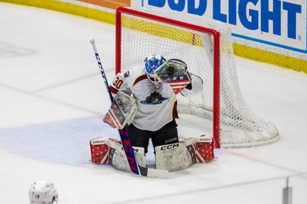 Rochester Americans Forward Filip Cederqvist 71 Editorial Stock Photo ...