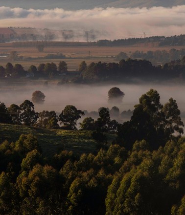 Early Morning Mist Rises Fields Kwazulu Editorial Stock Photo - Stock ...