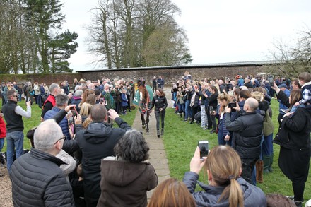 Grand National Winner Homecoming Corach Rambler Editorial Stock Photo ...