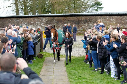 Grand National Winner Homecoming Corach Rambler Editorial Stock Photo ...