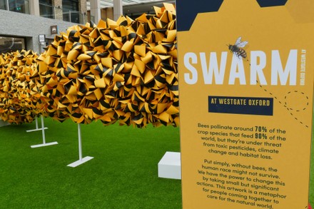 Swarm Art Installation Westgate Centre Oxford Editorial Stock Photo ...