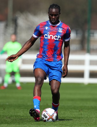 Noah Watson Crystal Palace U21s During Editorial Stock Photo - Stock ...