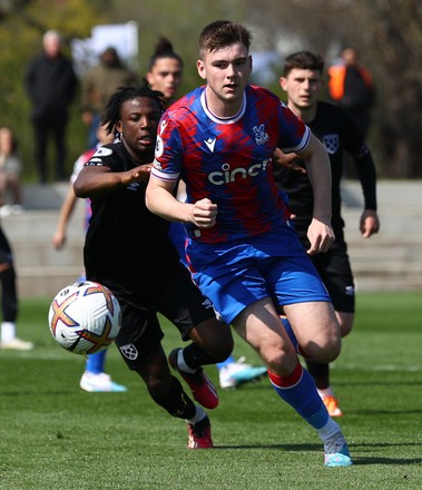Sean Grehan Crystal Palace U21s During Editorial Stock Photo - Stock ...