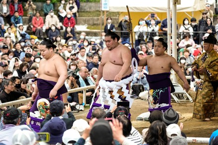 Grand Champion Haruo Terunofuji C Mongolianborn Editorial Stock Photo ...