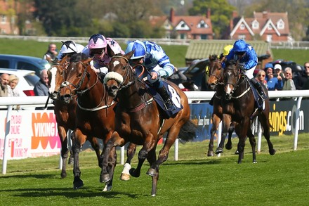 78 Horse Racing, Beverley Races - 19 Apr 2023 Stock Pictures, Editorial ...
