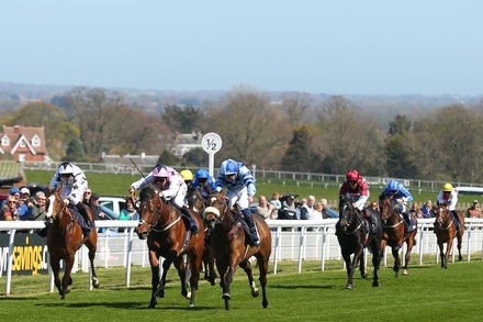 78 Horse Racing, Beverley Races - 19 Apr 2023 Stock Pictures, Editorial ...