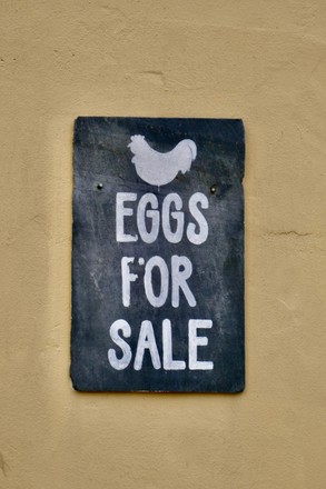 Eggs Sale Sign Free Range Eggs Editorial Stock Photo - Stock Image ...