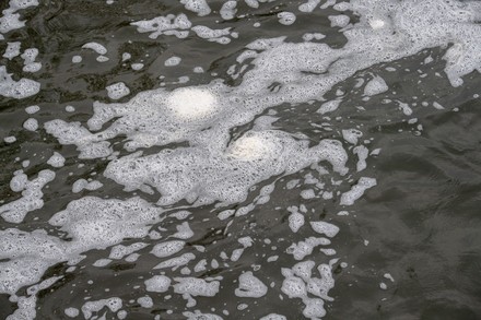 Pollution On River Thames Maidenhead Berkshire Editorial Stock Photo ...