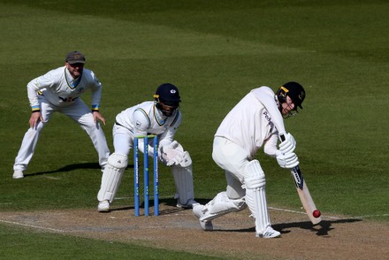 Tom Alsop Batting Action Sussex During Editorial Stock Photo - Stock ...
