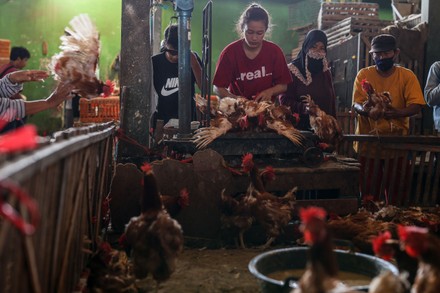 Vendors Prepare Chicken Customer Traditional Market Editorial Stock ...