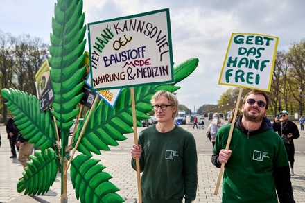 About 200 People Calling Legalization Cannabis Editorial Stock Photo ...