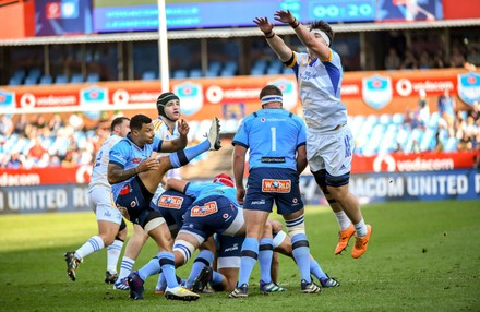 Vodacom Bulls Vs Leinster Embrose Papier Editorial Stock Photo - Stock ...