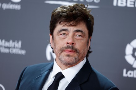 Puerto Rican Actor Benicio Del Toro Editorial Stock Photo - Stock Image ...
