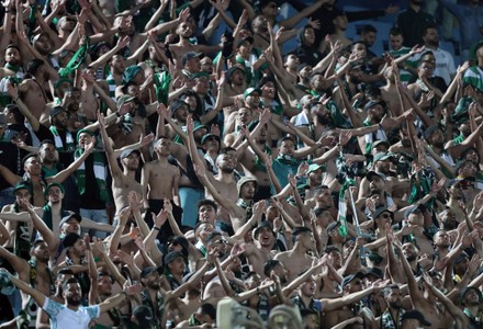 Raja Casablanca Fans During Caf Champions Editorial Stock Photo - Stock ...
