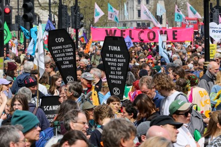 Thousands Extinction Rebellion Members Flags Signs Editorial Stock ...