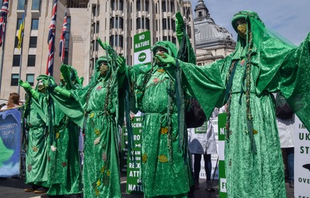 Protesters Wearing Green Costumes Perform During Editorial Stock Photo ...