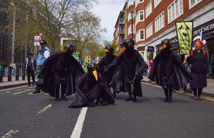 Protesters Wearing Bird Costumes Perform Outside Editorial Stock Photo ...