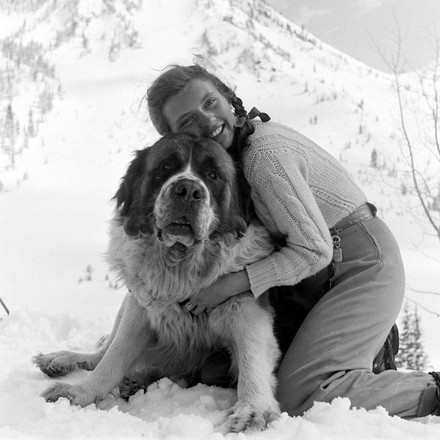 36 Andrea mead lawrence Stock Pictures, Editorial Images and Stock ...