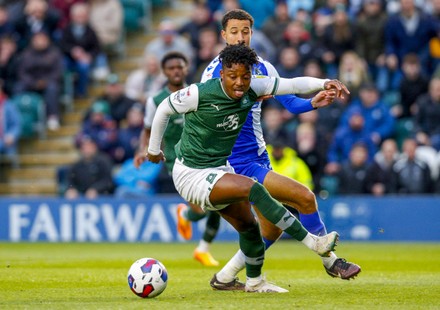 Niall Ennis Plymouth Argyle During Sky Editorial Stock Photo - Stock ...