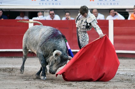 Octavio Garcia El Payo Mexico Fights Editorial Stock Photo - Stock ...