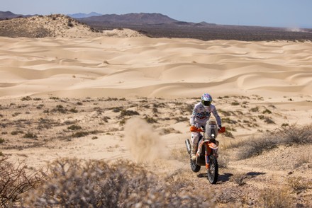 46 Lucci Paolo Ita Bas World Editorial Stock Photo - Stock Image | Shutterstock