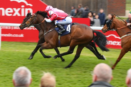 Nu Form Way 2 Ridden By Editorial Stock Photo - Stock Image | Shutterstock