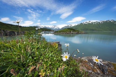 Garden Eden View Over Kukak Bay Editorial Stock Photo - Stock Image ...