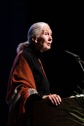 Hague Jane Goodall During Lecture World Editorial Stock Photo - Stock ...