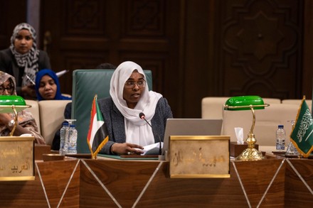 Lames Ali Deputy Permanent Representative Republic Editorial Stock ...