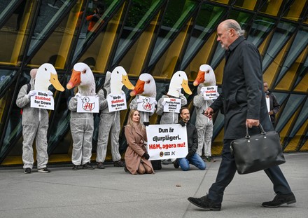 Peta One Worlds Largest Animal Rights Editorial Stock Photo - Stock ...