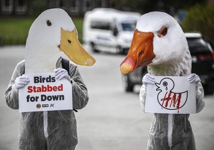 Peta One Worlds Largest Animal Rights Editorial Stock Photo - Stock ...